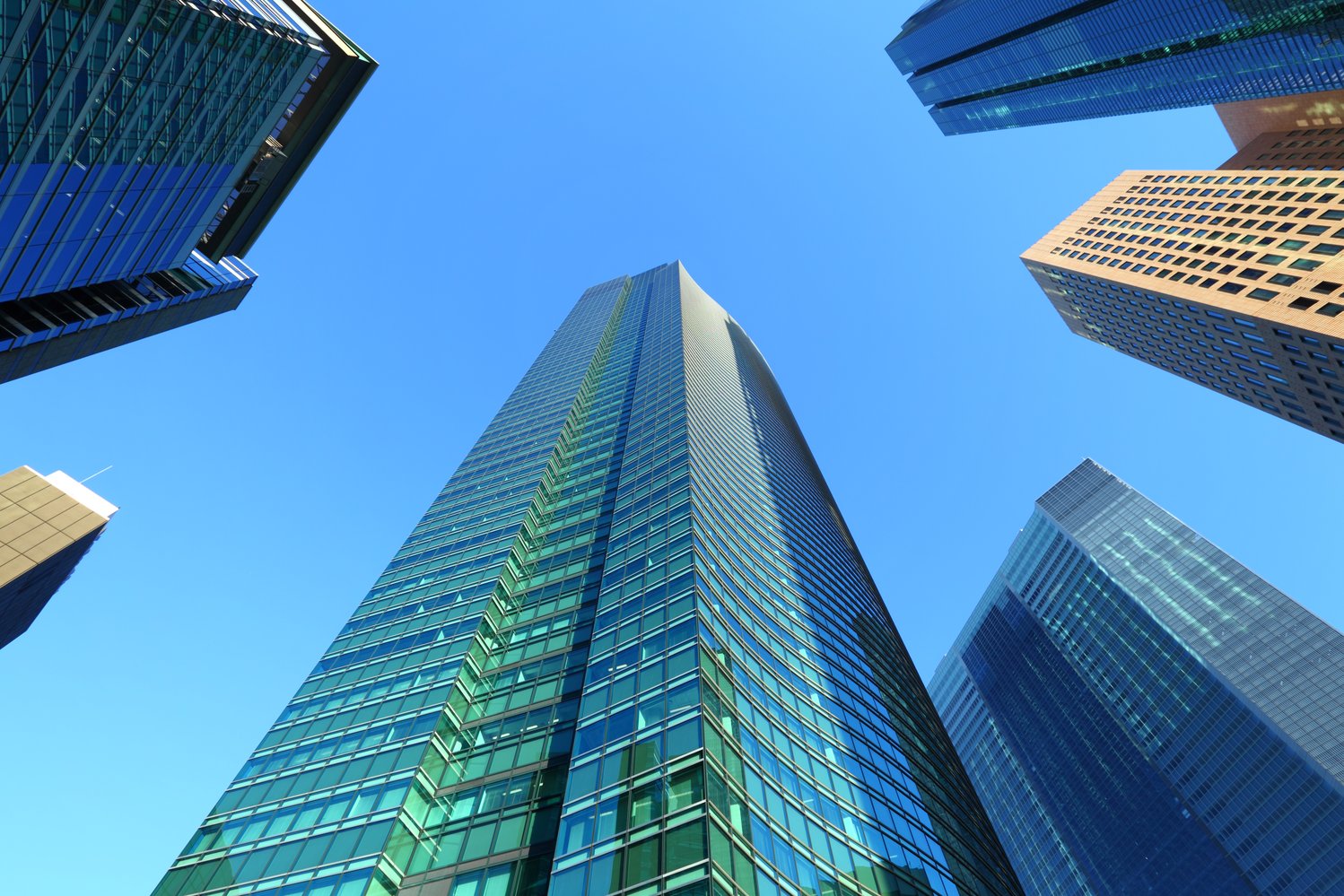 Business Management Review Guide for BESA Competent Assessment Standard
